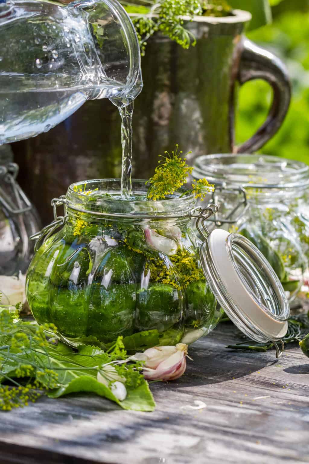 Pickling 101: How To Quick Pickle Fruits & Vegetables : At the ...