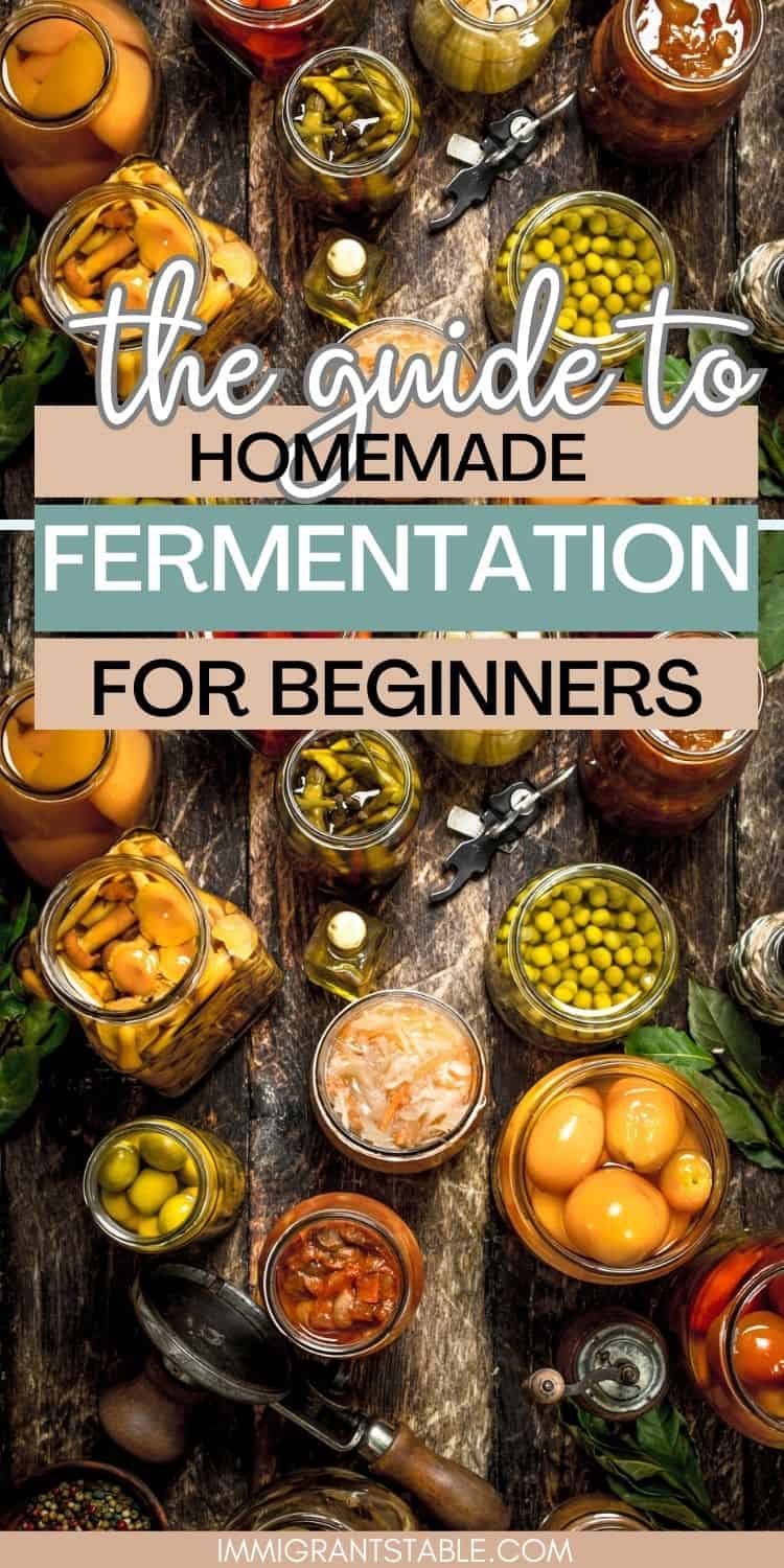 Fermenting vegetables 101: The ancient art of preservation : At the ...