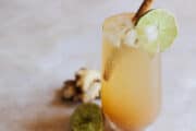 Spicy and Tangy Tamarind Cocktail : At the Immigrant's Table