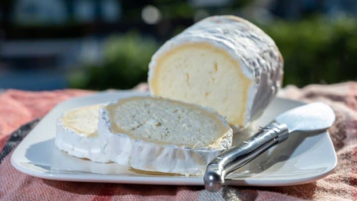 Top 10 Healthiest Cheese Options that You Can Enjoy Without Worrying ...