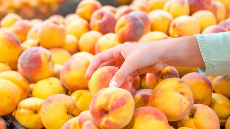 10 Reasons Why Picking Freshly Picked Fruit is Great For Your Health ...