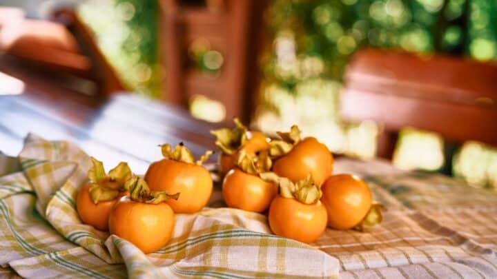 12 Seasonal Fruits to Harvest for Every Month of the Year