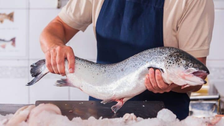Beware of These 11 Most Counterfeit Seafood Products on the Market